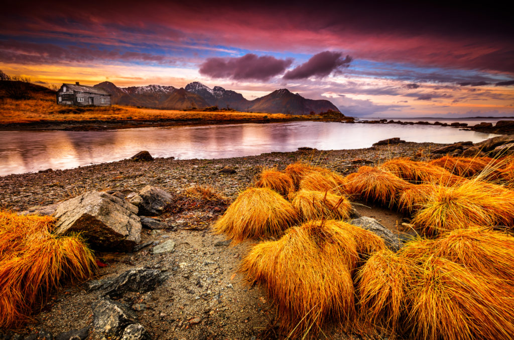 Top 10 Ways to Experience Fall Like a Norwegian - Norway Excursions Blog